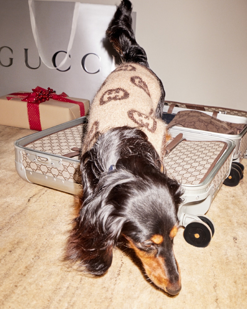 Gucci Gets Festive With Gucci Gift Holiday 2023 Campaign